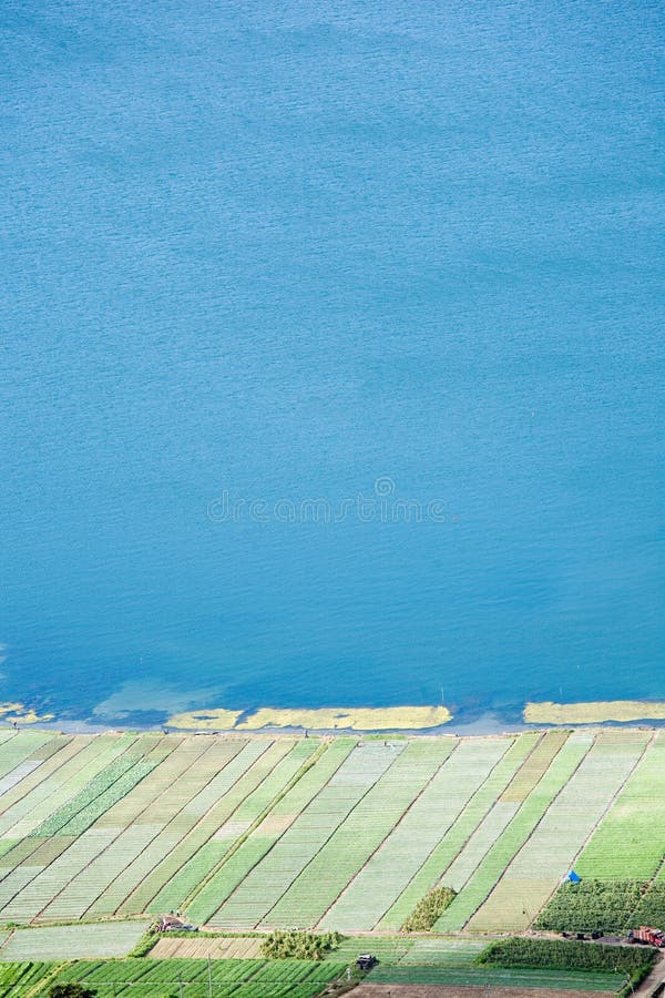 Natural Landscape (Field & Sea Stock Image - Image of landscape, living ...