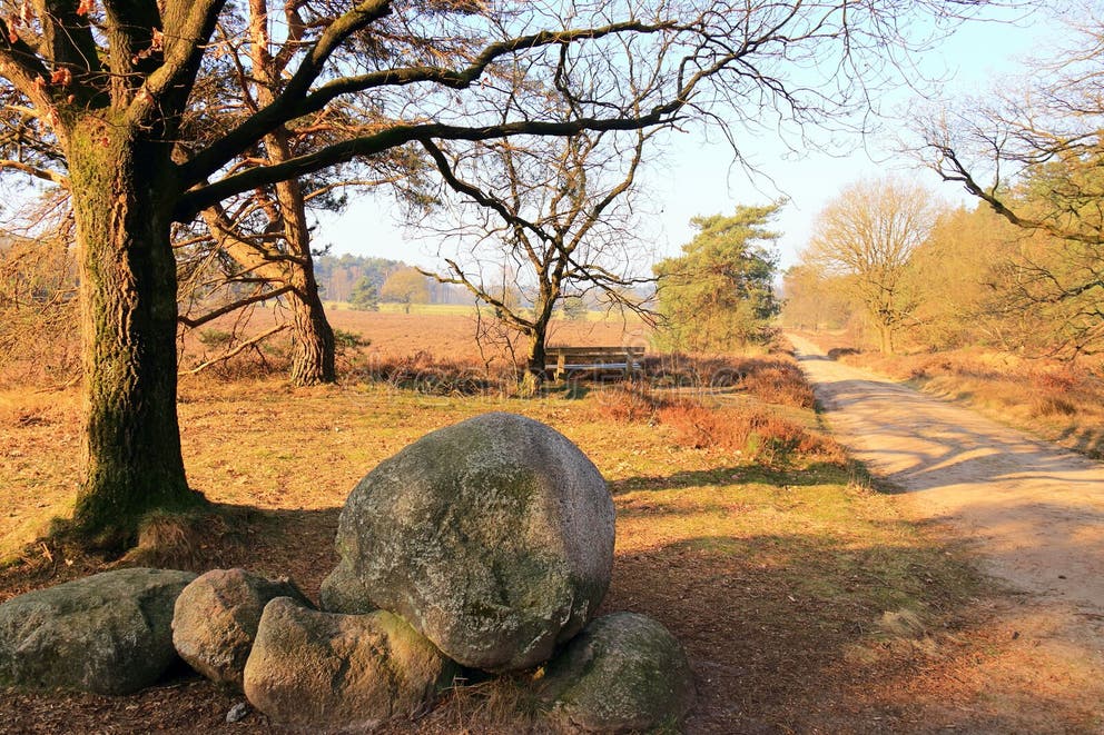 Natural Landscape with Large Stone Under Tree Stock Photo - Image of ...