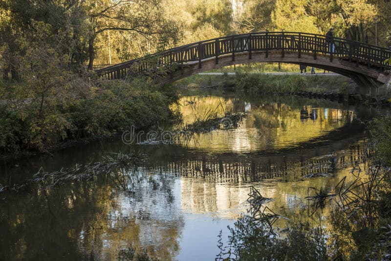 Natural Landscape of the Moscow Park in Autumn Stock Photo - Image of ...