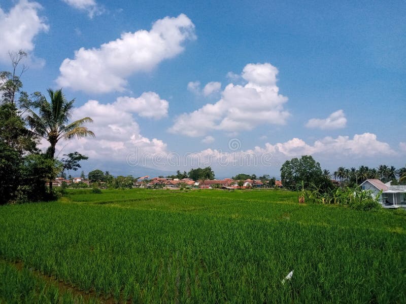 Natural Landscape of the Mountains in Rural Garut, West Java, Indonesia ...