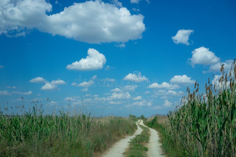 Natural Landscape Overlooking the Road among the Reeds Stock Image ...