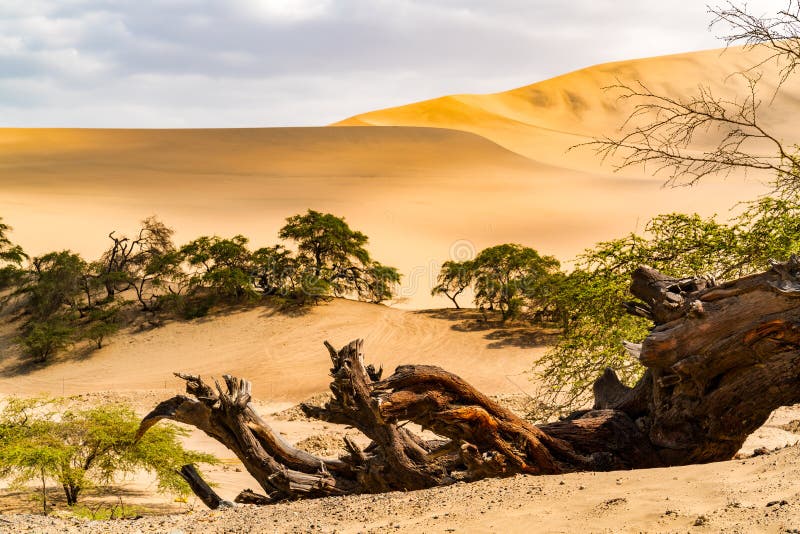 Natural Landscape of Peruvian Desert on the Way To Nazca Stock Photo ...