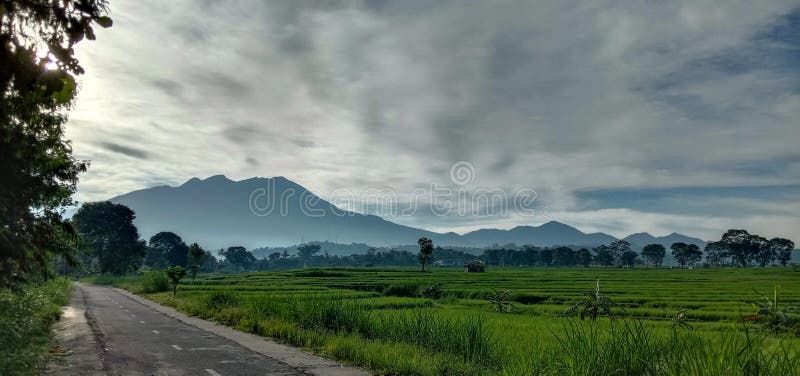 A Natural Landscape that is Quite Amazing, There is a Mountain, Rice ...