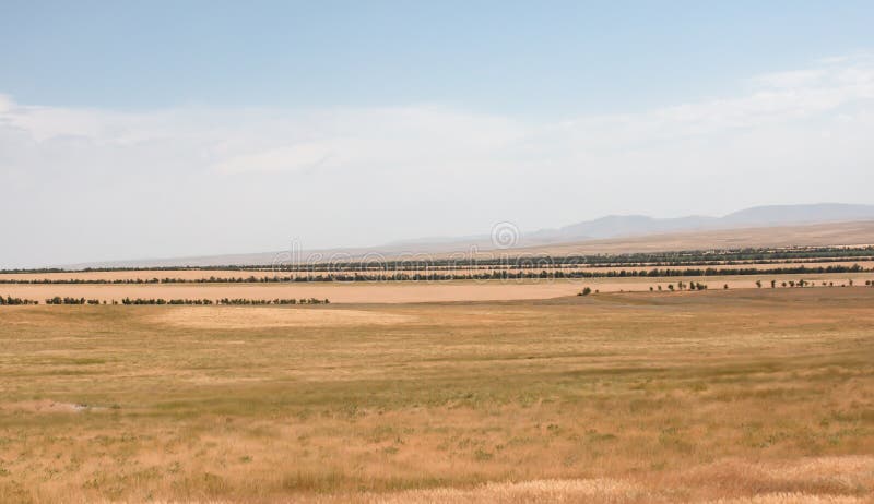 Natural Landscape Steppe with Dry Grass and Sky Stock Image - Image of ...