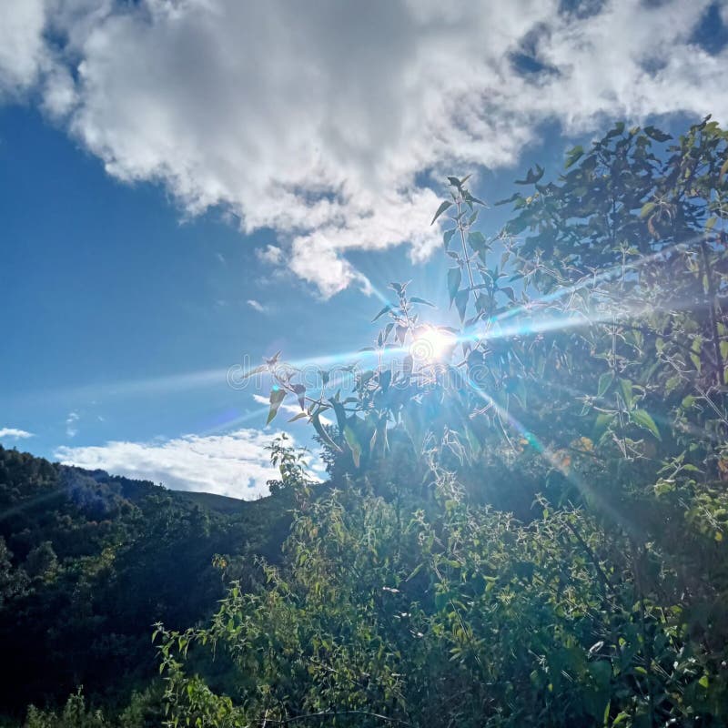 A Natural Landscape Under a Blue Sky, with Scattered Sunlight Visible ...