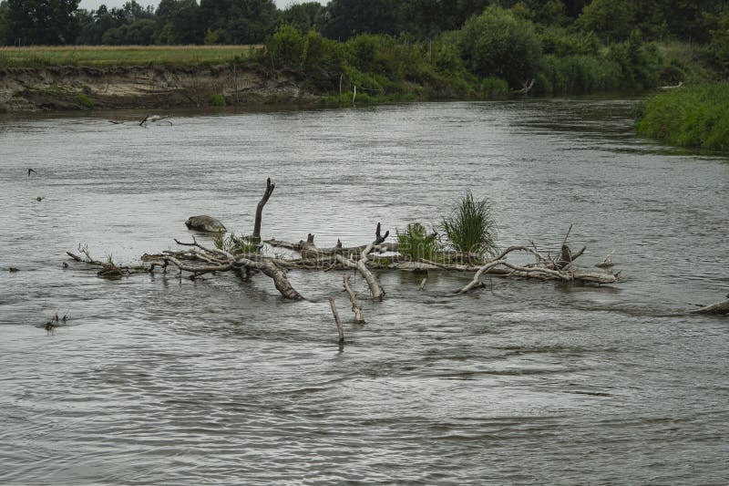 Natural Landscape of a Valley of River of Bug on the Border between ...