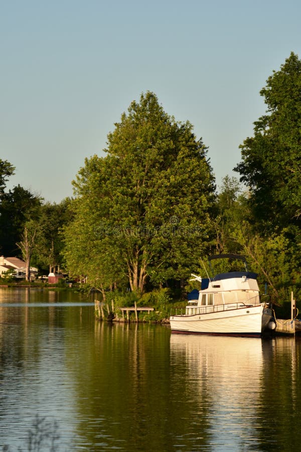 Motorboat River and Tree editorial photography. Image of tree - 118591042