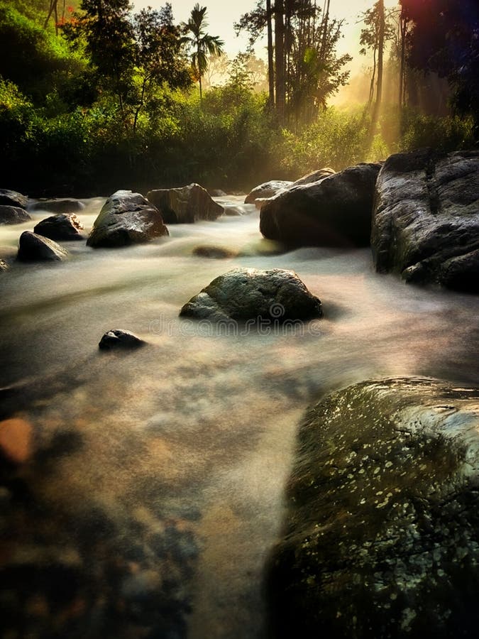 Natural Large Rocks in a Cold River Flow in a Forest in the Mountains ...