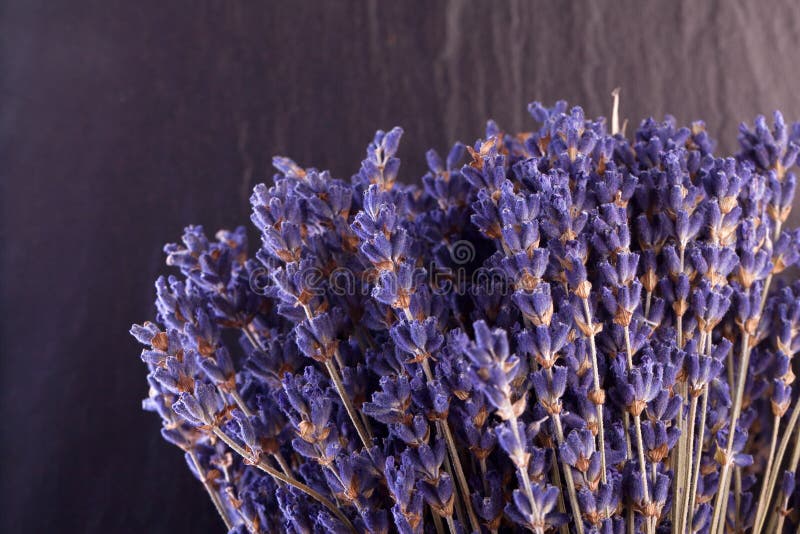 Natural lavender stock photo. Image of blue, wood, plant - 32894260