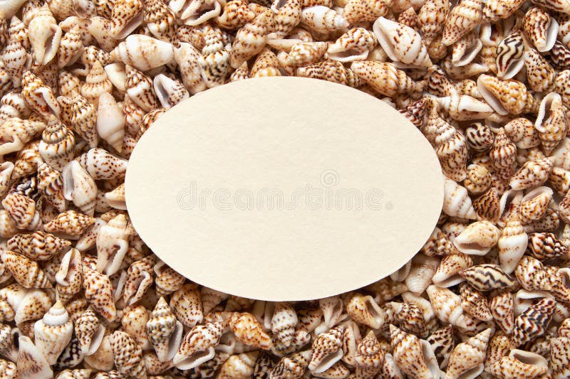 Natural Layout Made of Seashells and Paper Card Note Stock Photo ...