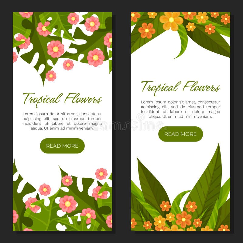 Natural Leaf and Flower Frame Vector Template Stock Vector ...