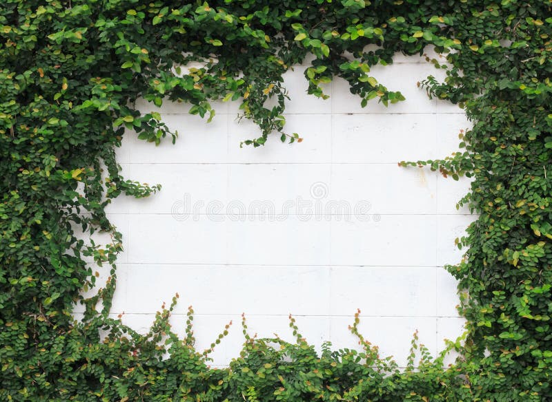 Natural leaf frame. stock image. Image of home, nature - 102159935