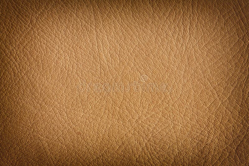 Red leather background stock photo. Image of nature, product - 29221338