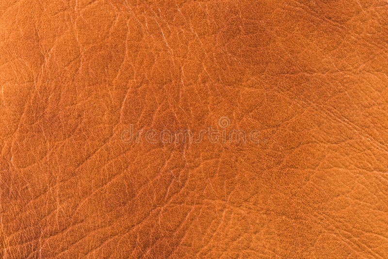 Natural leather texture stock photo. Image of fabric, pattern - 5221738
