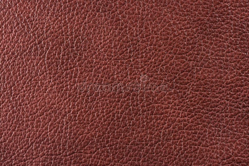 Natural leather texture stock photo. Image of furniture - 5300440