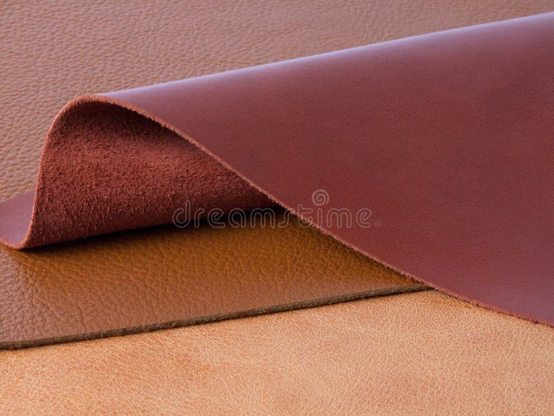 Natural Leather Textures Samples Stock Photo - Image of collage, scrap ...