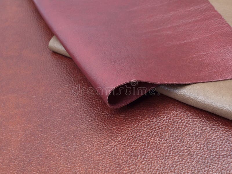 Natural Leather Textures Samples Stock Photo - Image of mottled, choice ...