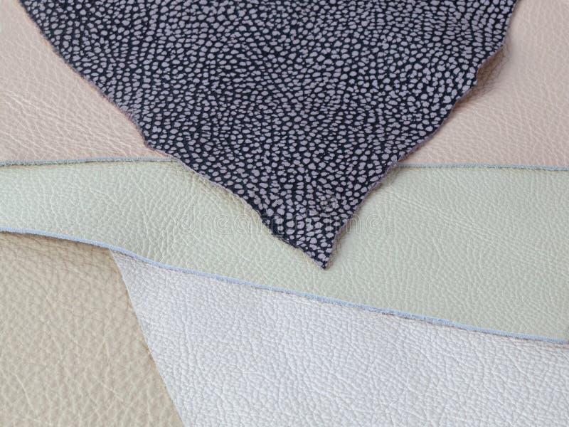 Natural Leather Textures Samples Stock Image - Image of material, multi ...