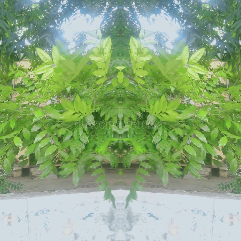 Natural Leave of Indian City in Coimbatore Stock Photo - Image of ...