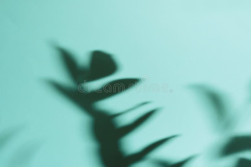 Natural Leaves Shadow on Gradient Paper Background. Abstract Blue and ...