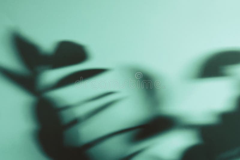 Natural Leaves Shadow on Gradient Paper Background. Abstract Blue and ...