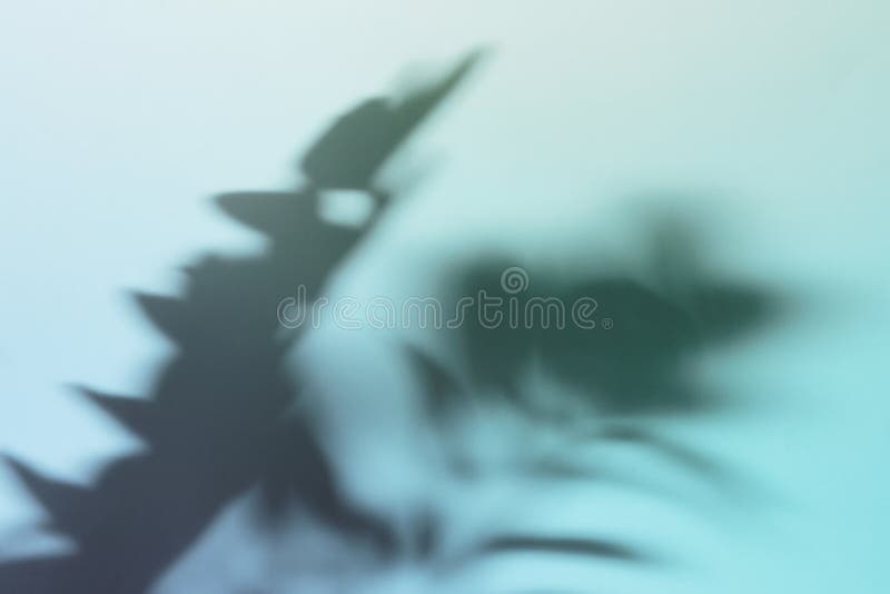 Natural Leaves Shadow on Gradient Paper Background. Abstract Blue and ...