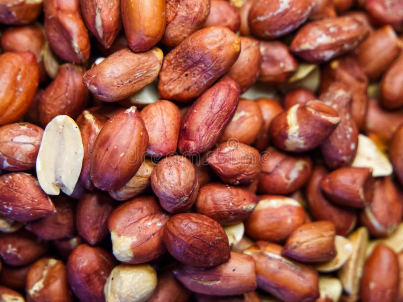 Natural Legume Image. Focus on Peanuts for Educational Materials about ...