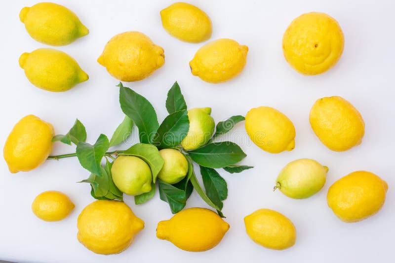 Natural Lemons with Lemon Leaves Stock Image - Image of organic, macro ...