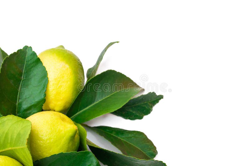 Natural Lemons with Lemon Leaves Stock Image - Image of lemon, leaf ...