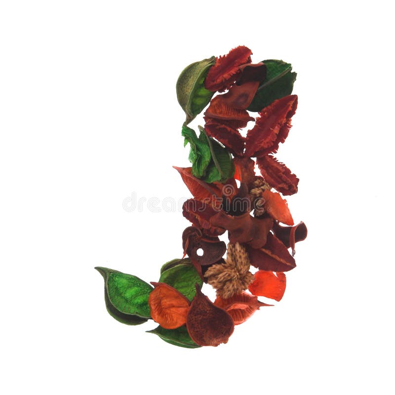 Natural letter J stock photo. Image of font, alpha, orange - 4279184