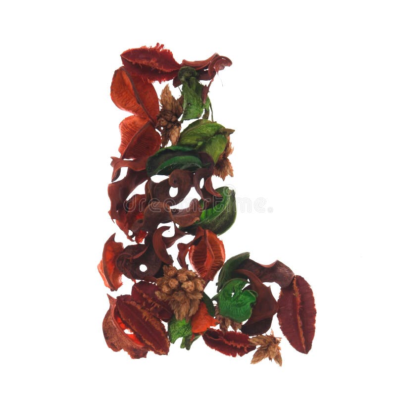 Natural Letter L Picture. Image: 4279064