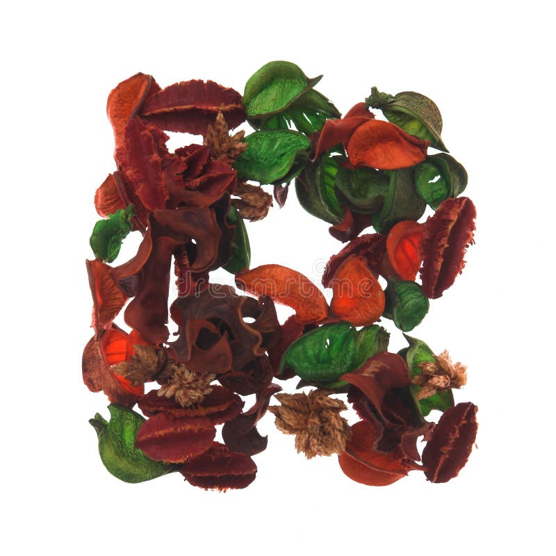 Natural Letter R Picture. Image: 4279111