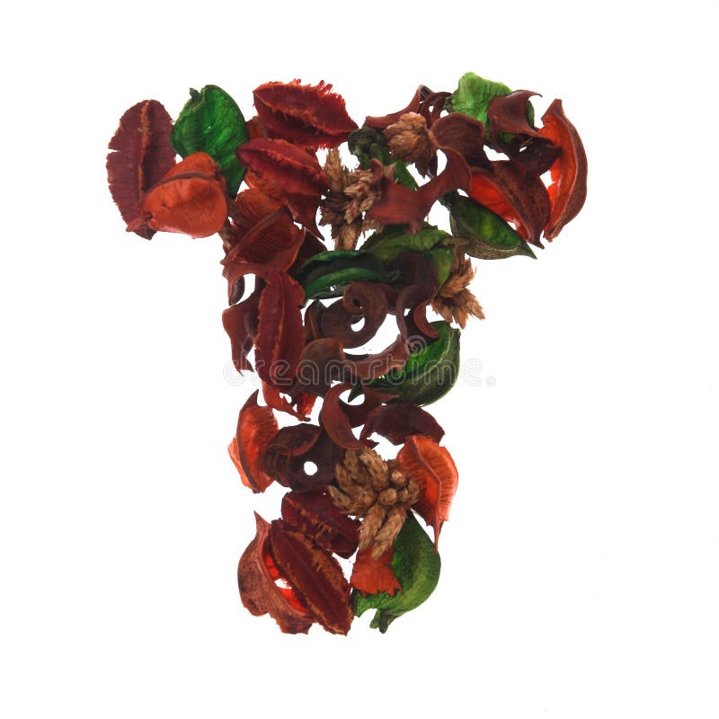 Natural Letter T Picture. Image: 4279074