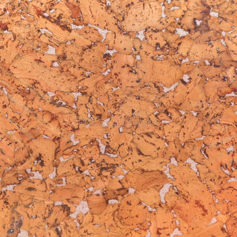 Cork Texture Pattern stock image. Image of floor, decorative - 242751841