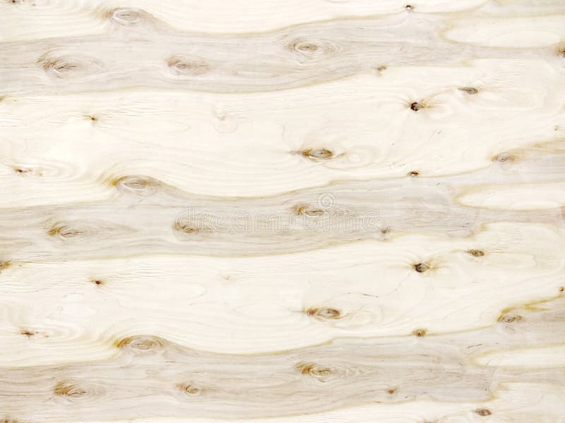 Natural Light Beige Wooden Structure Texture Background Stock Image ...