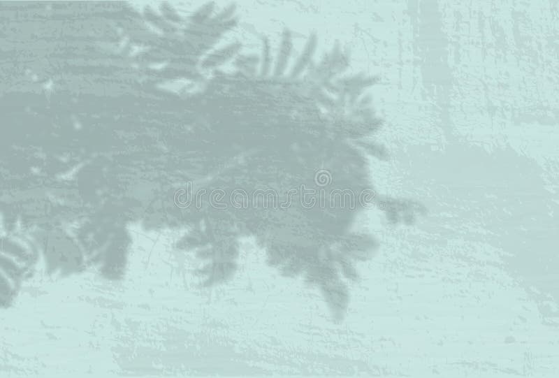 Natural Light Casts Shadows from a Leaves Branches of Tree. Top View of ...