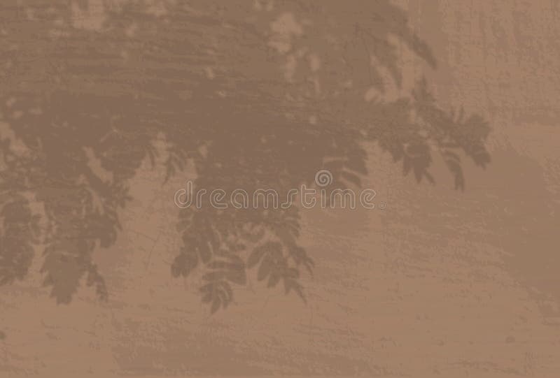 Natural Light Casts Shadows from a Leaves Branches of Tree. Top View of ...