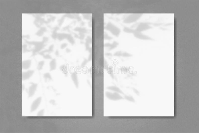 Natural Light Casts Shadows from the Leaves of a Tree Branch on 2 ...