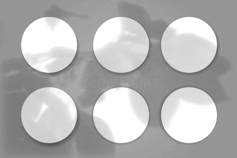 Natural Light Casts Shadows from the Plant on 4 Round Sheets of White ...