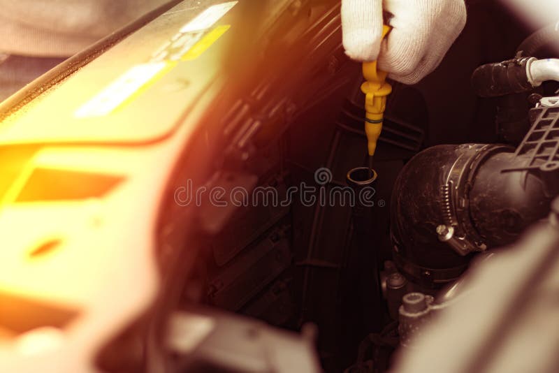 Natural Light. the Engine Compartment of the Car. Open Hood. the ...