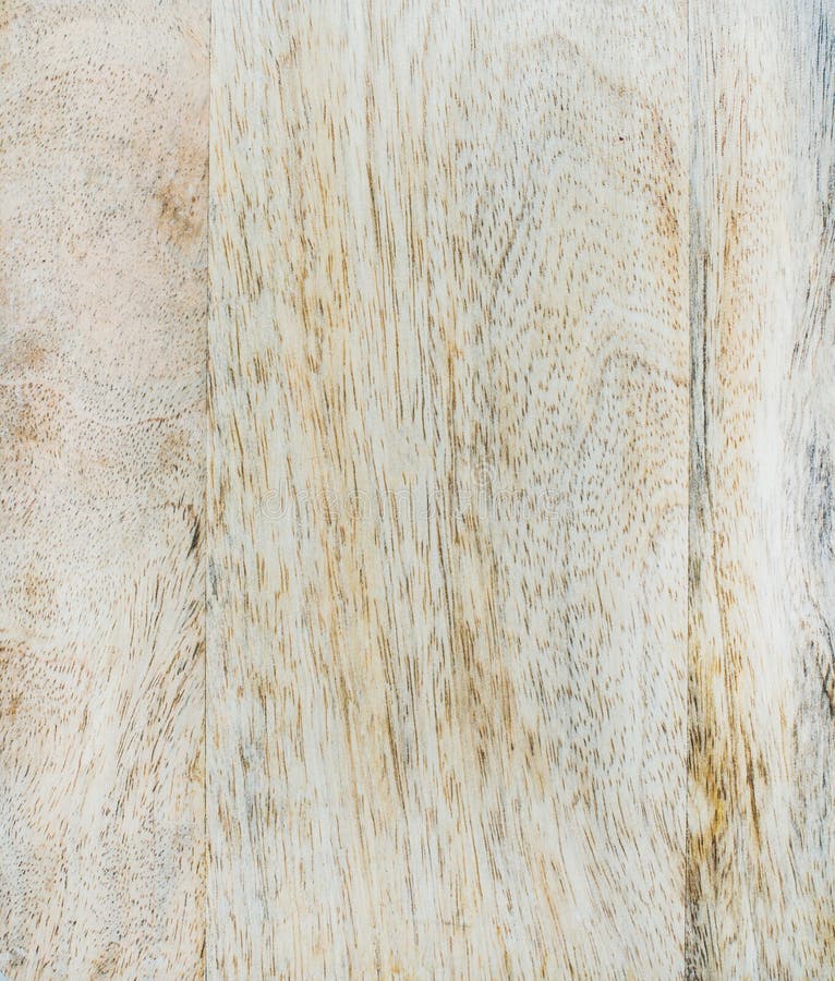 Natural Light Maple Wood Texture and Background Stock Image - Image of ...