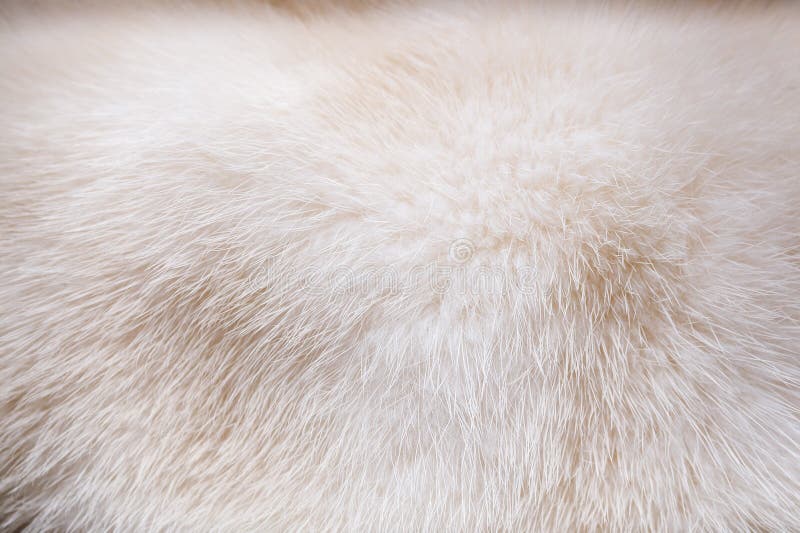 Natural Light Mink Fur. Texture Stock Photo - Image of detail, abstract ...