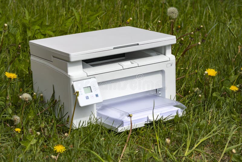 Natural Light Outside. on the Green Grass is a White Printer Stock ...