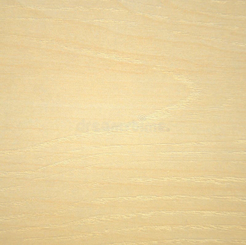 Natural Light Pine, Background Image of Wood Closeup. Texture. Close Up ...