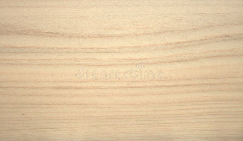Natural Light Pine, Wood Texture Close-up on a Cut Stock Image - Image of plain, hardwood: 166265081
