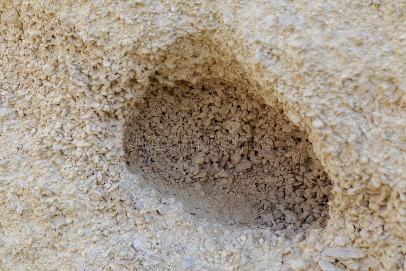 Natural Limestone. Rough Textured Surface. Background for Blank or ...