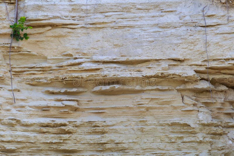Natural Limestone. Rough Textured Surface. Background for Blank or ...