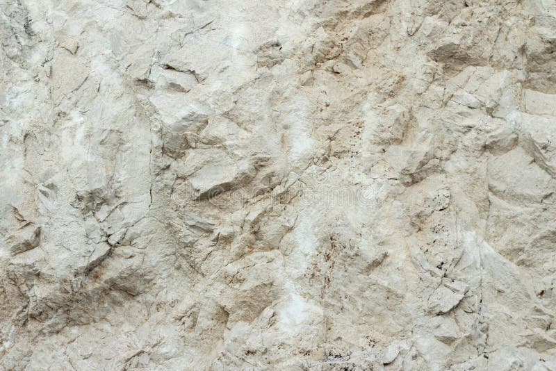 Natural Limestone Surface Shell Stone, Shell Rock, Background Stock ...