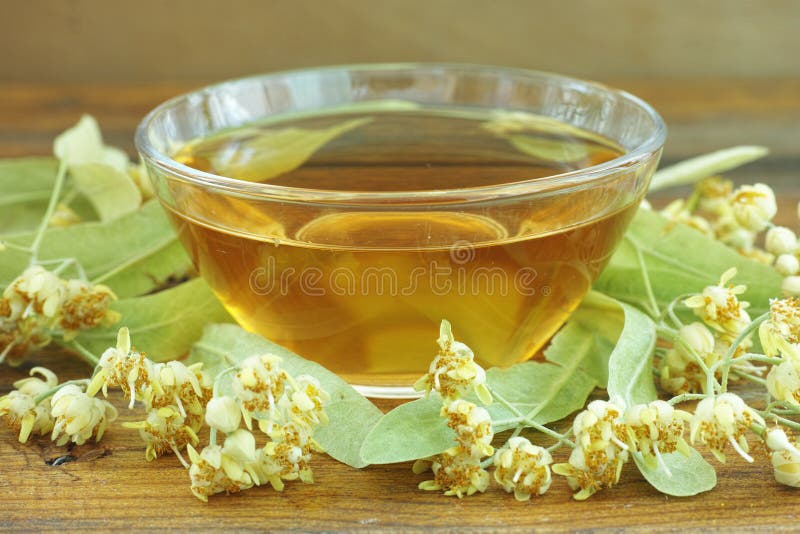 Natural linden tea stock image. Image of leaves, light - 42173301