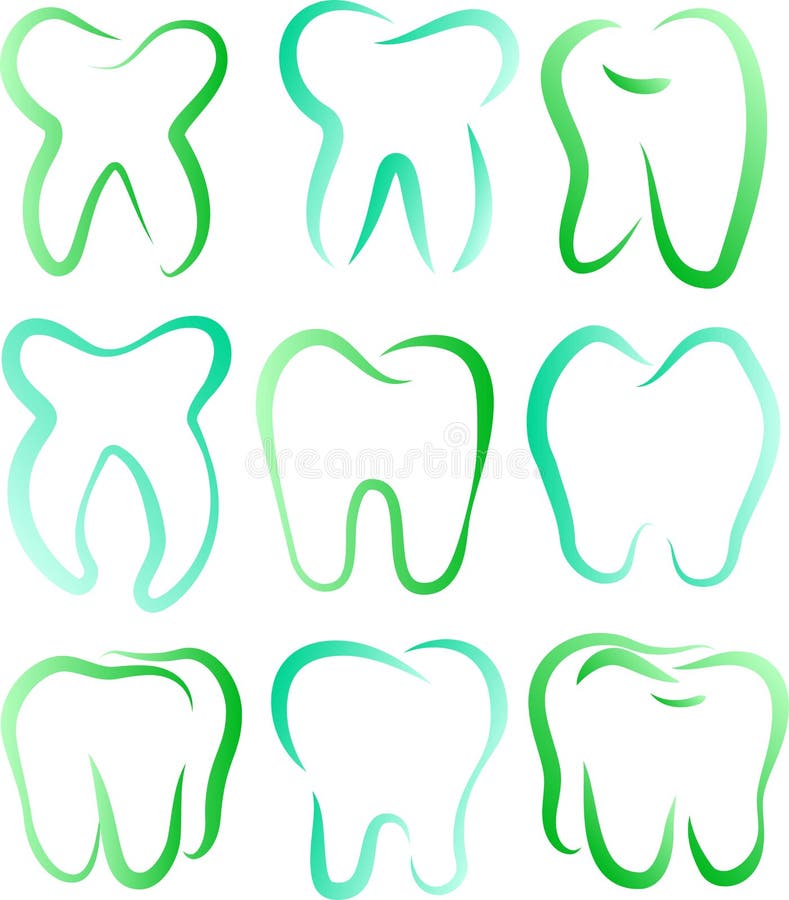 Natural Line Drawing of Tooth Set Stock Vector - Illustration of ...